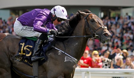 Valiant Force dominate in the G2 Norfolk Stakes - McElroy Equine