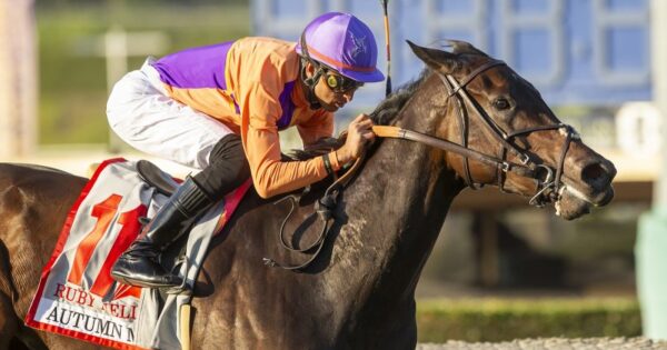 Ruby Nell dominates the G3 Autumn Miss Stakes - McElroy Equine