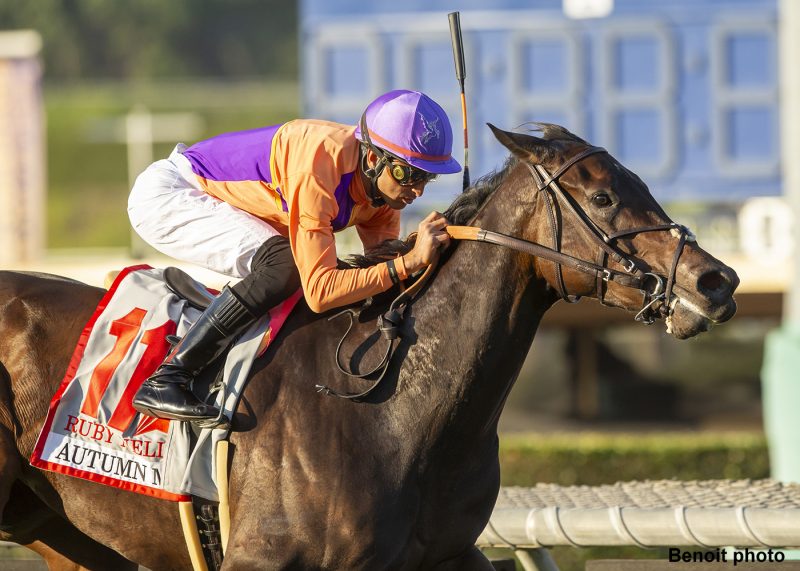 Ruby Nell dominates the G3 Autumn Miss Stakes - McElroy Equine