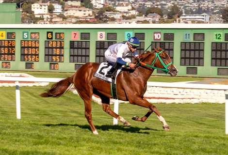 Charlene's Dream a back to back Stake winner in Northern California - McElroy Equine