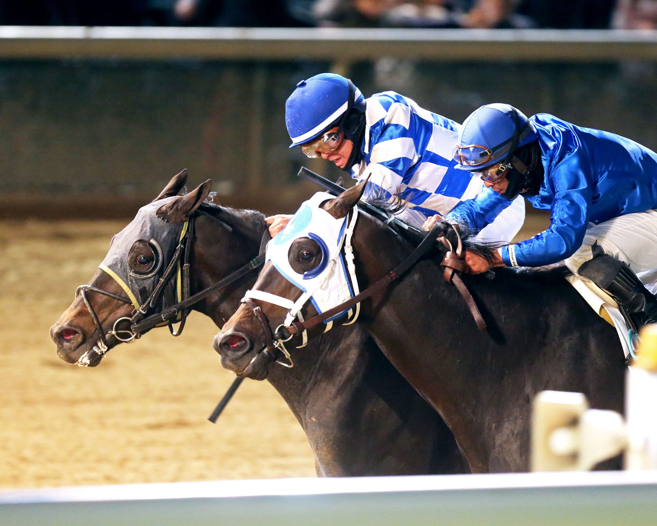 Trademark wins the G2 Clark by a nose - McElroy Equine