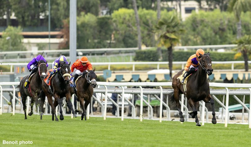 Ruby Nell wins Lady of Shamrock Stakes by 4½ lengths - McElroy Equine